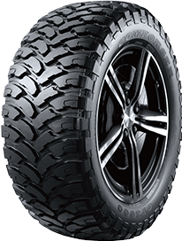 Shandong New Continent Tire Co.,Ltd.